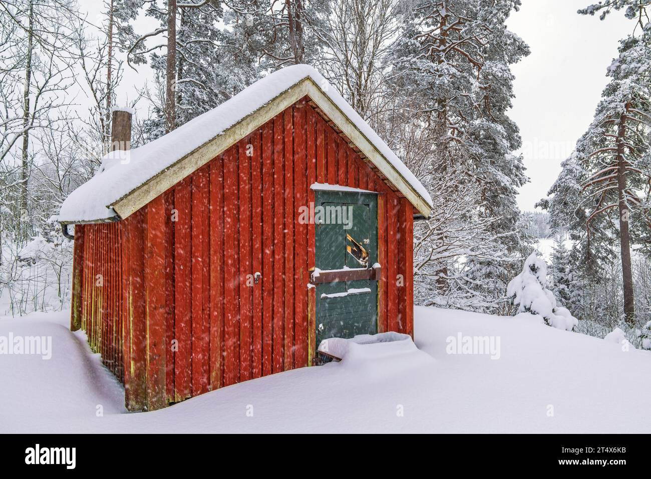 Red cottage in a snowfall on a winter day in the forest Stock Photo - Alamy