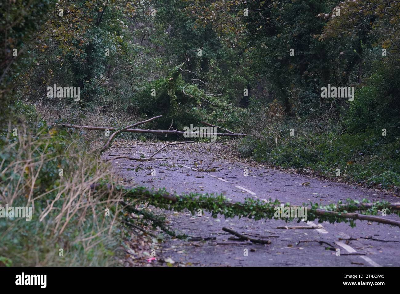 Trees and debris block the road in Dover, Kent, as Storm Ciaran brings ...