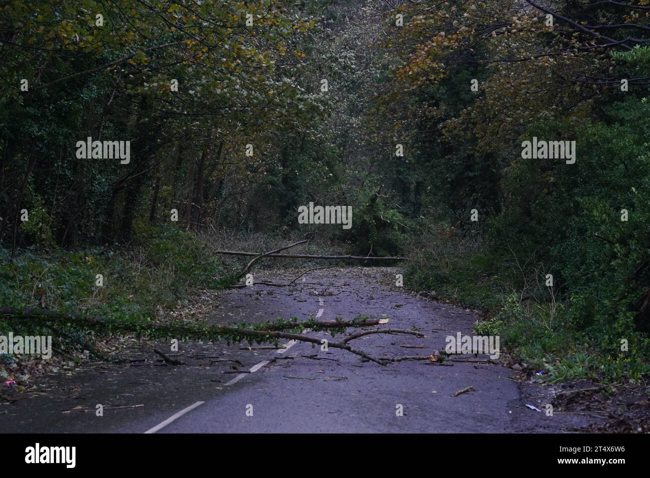 Trees and debris block the road in Dover, Kent, as Storm Ciaran brings ...