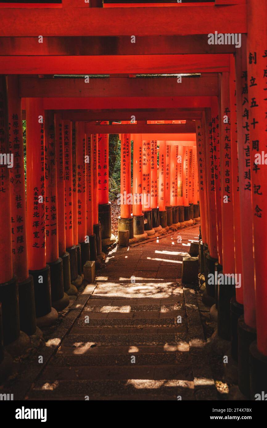 A scenic pathway leading towards a group of traditional Asian-style ...