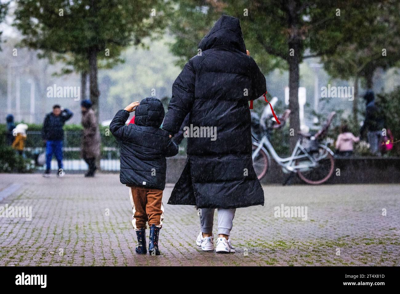 ROTTERDAM - Cyclists brave wind and rain during storm Ciaran. In a ...