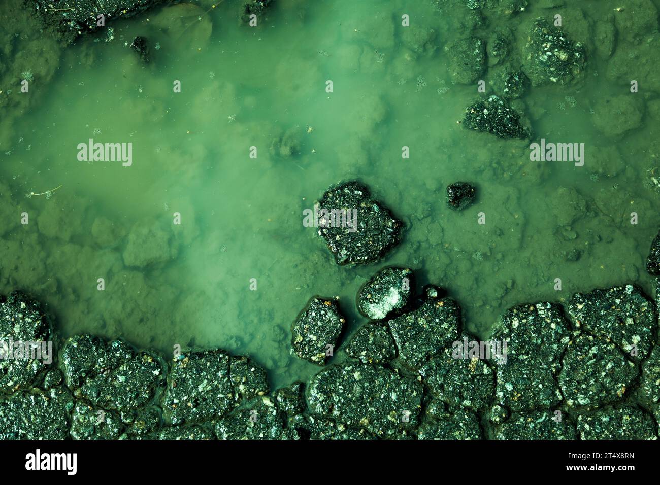 algae water seeping up and through the road surface Stock Photo - Alamy