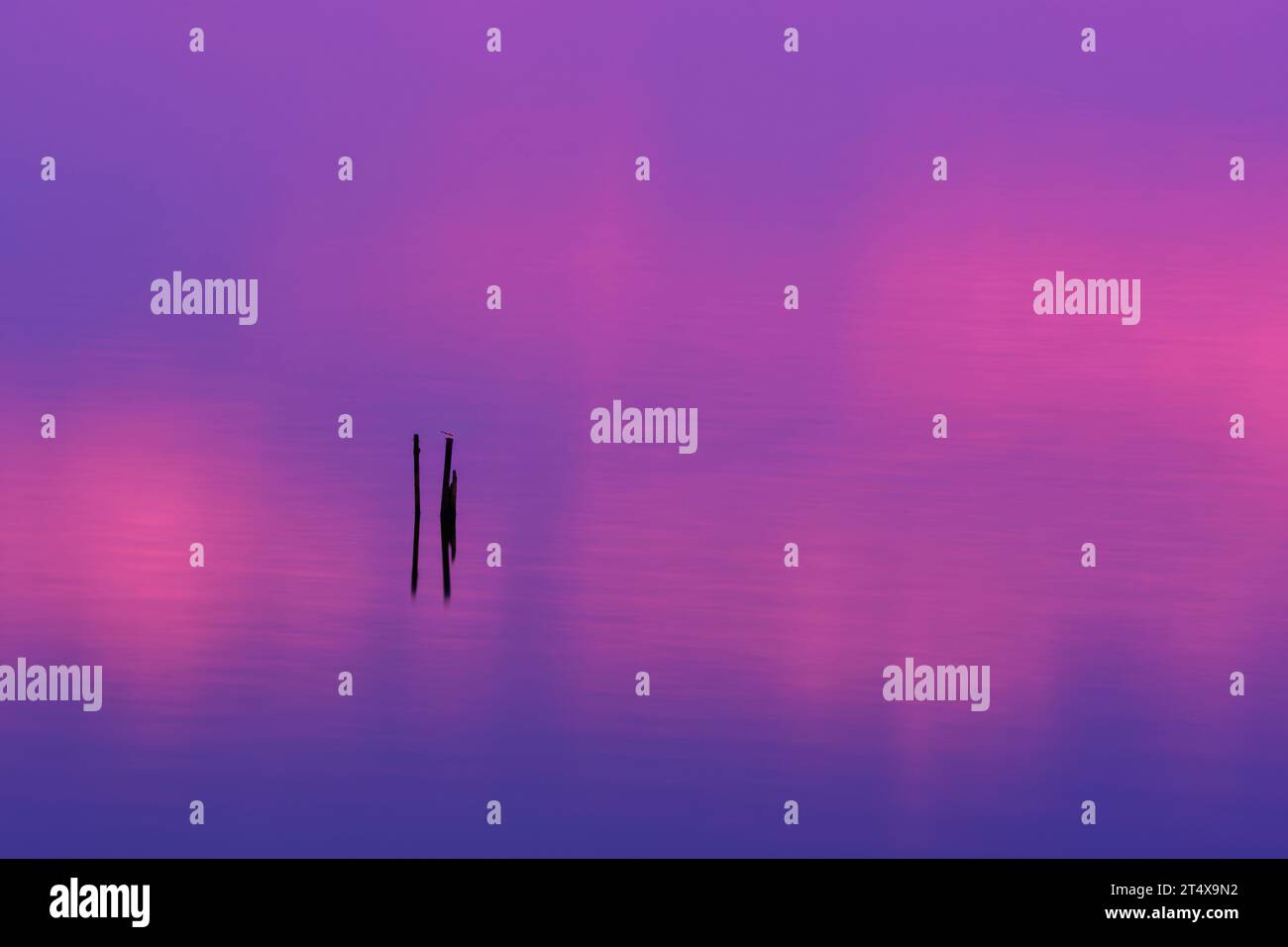 Trendinglocation hi-res stock photography and images - Alamy