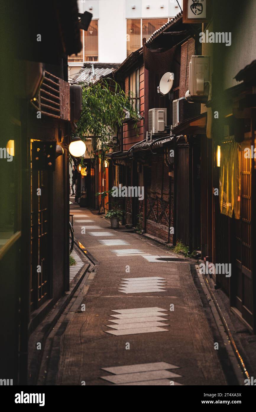 This image depicts a narrow alley in an Asian city, illuminated by ...
