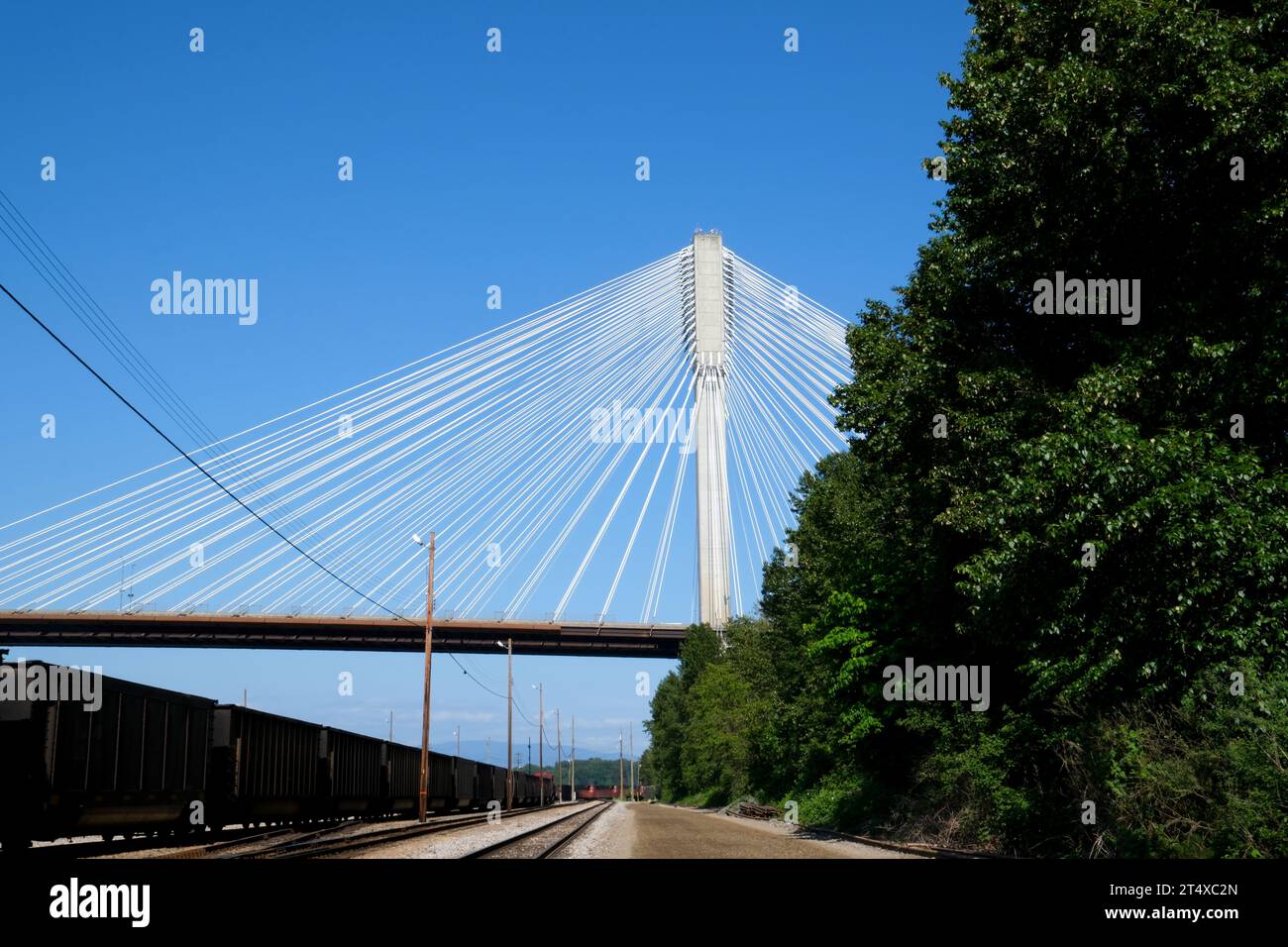 Pylon and cable stay tubes of Port Mann Bridge, white stay tubes ...