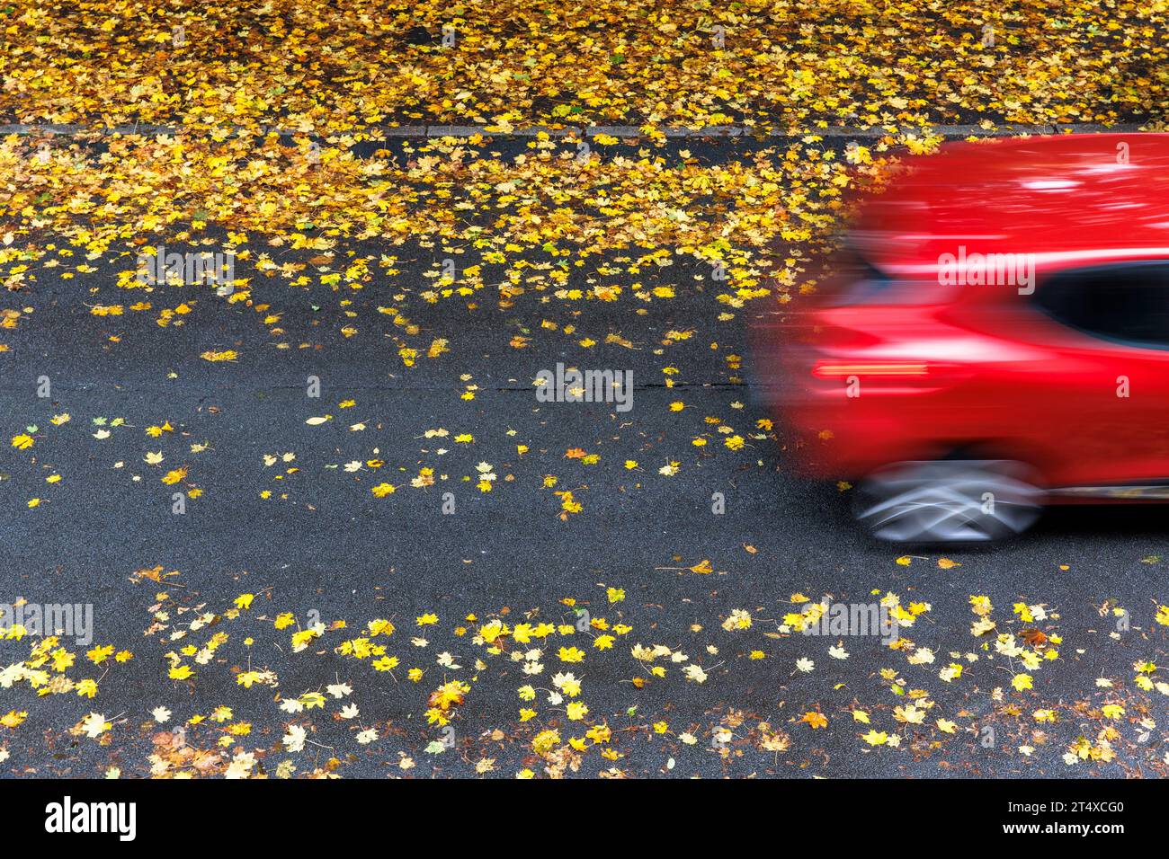 car driving over a rain wet road covered with wet autumn leaves, North ...