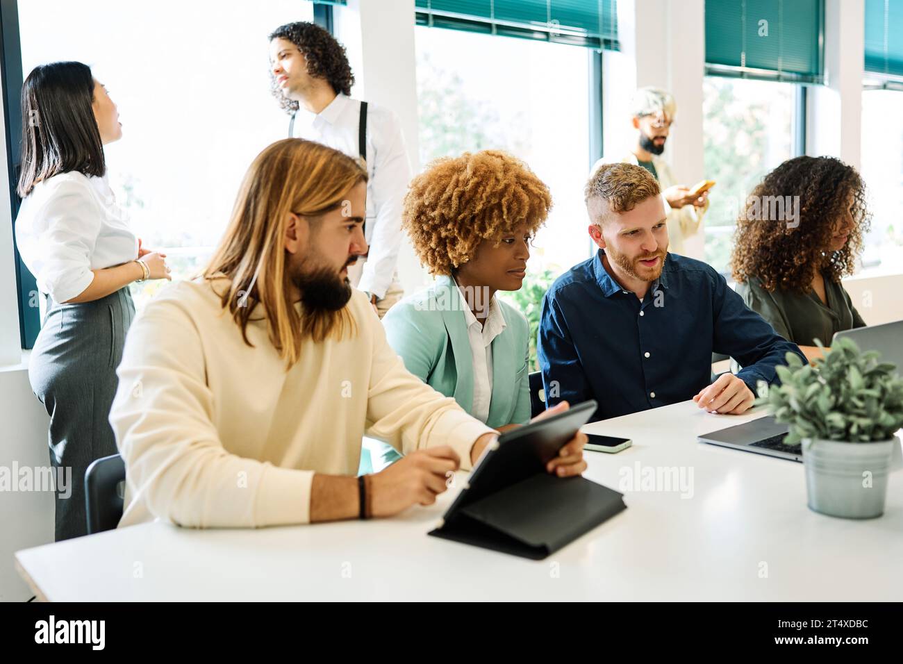 Coworking team using tablet together in the office Stock Photo - Alamy