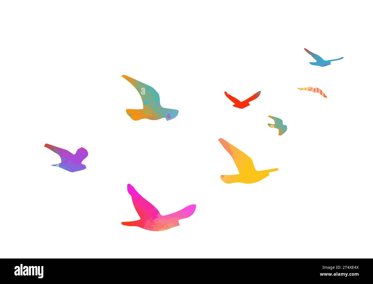 A flock of colored birds. hand drawing. Not AI, Illustrat3. Vector ...