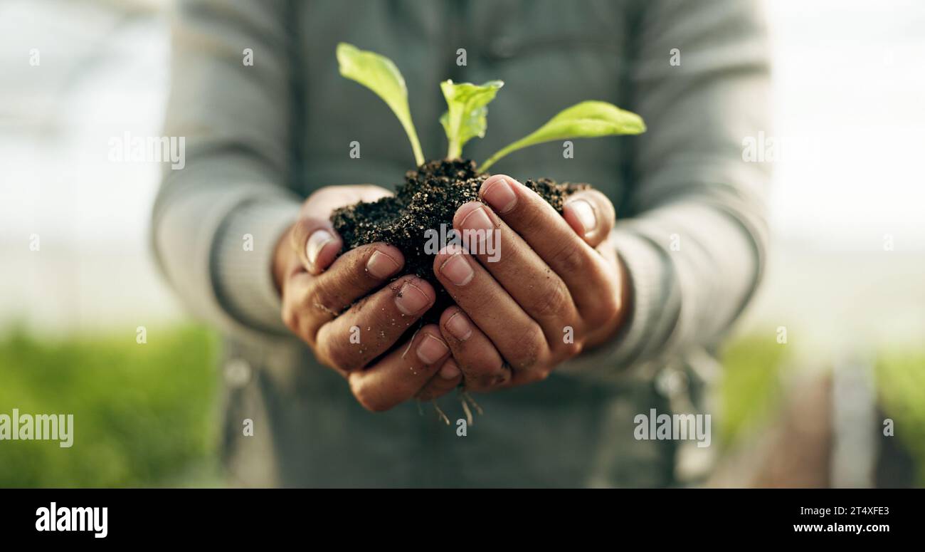 Farmer hands, plants and gardening soil in sustainability, eco friendly ...