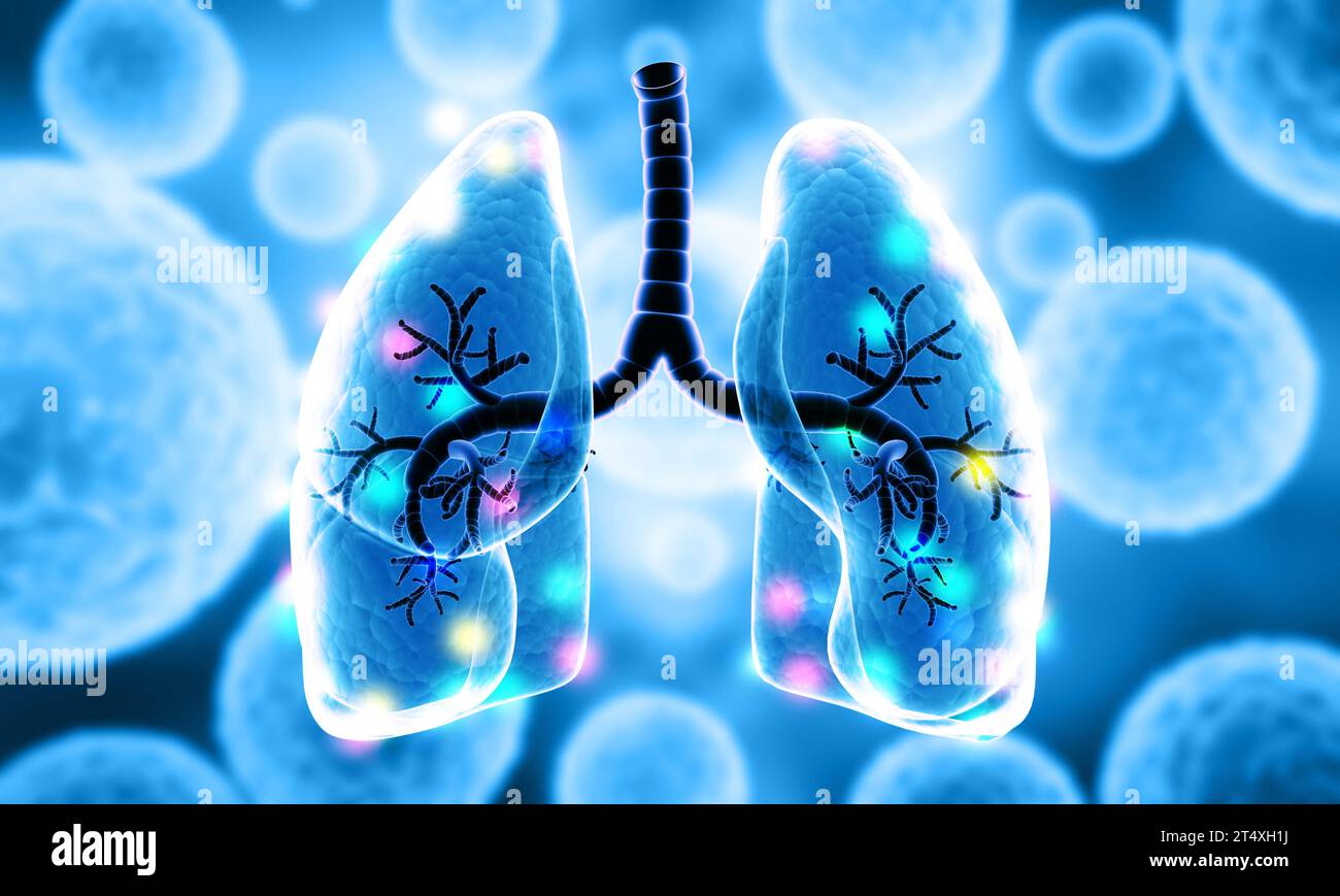 Human lungs anatomy on medical background. 3d illustration Stock Photo ...