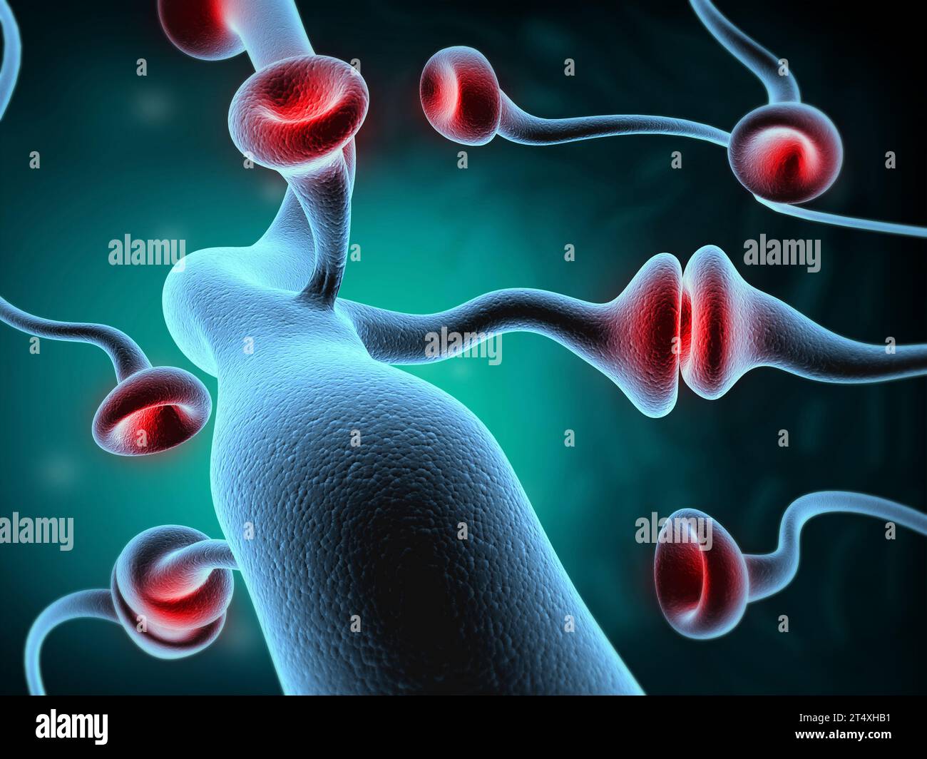 Neural network in the brain. nervous system , Neurons. 3d render Stock ...