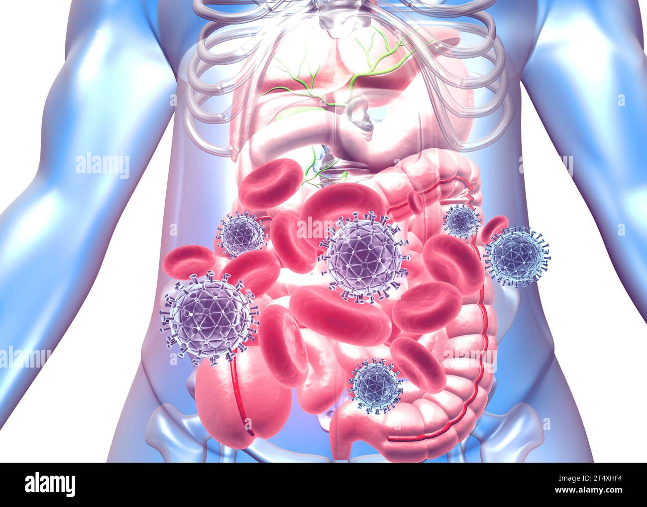 Human body with virus attack. 3d illustration Stock Photo - Alamy