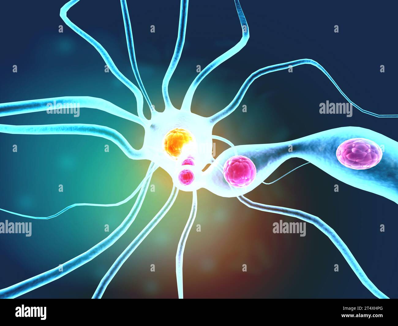 Neural network in the brain. nervous system , Neurons. 3d render Stock ...