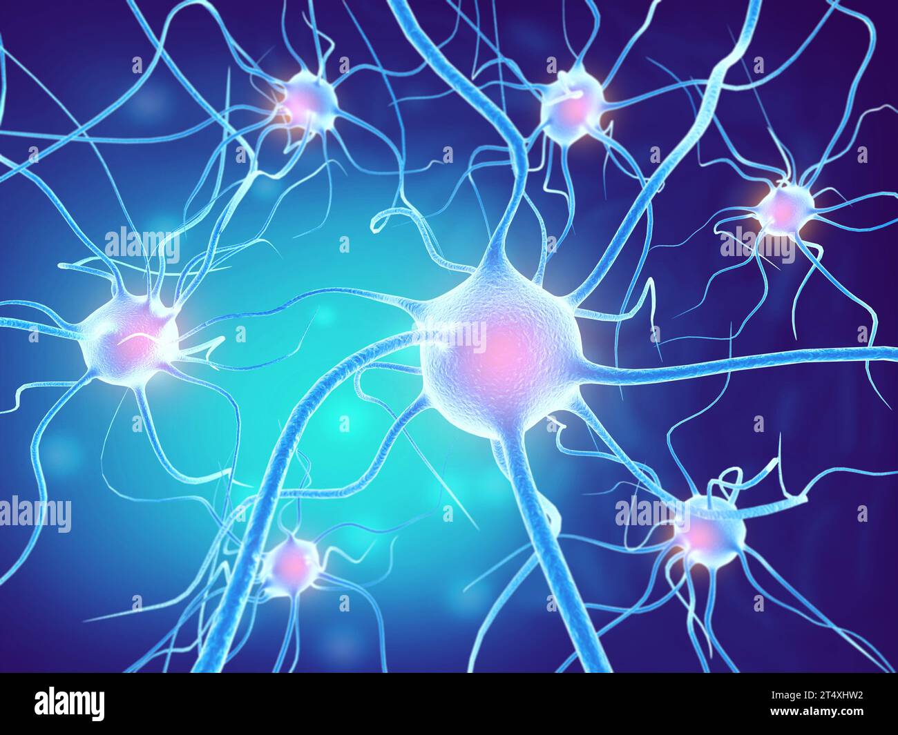 Neural network in the brain. nervous system , Neurons. 3d render Stock ...