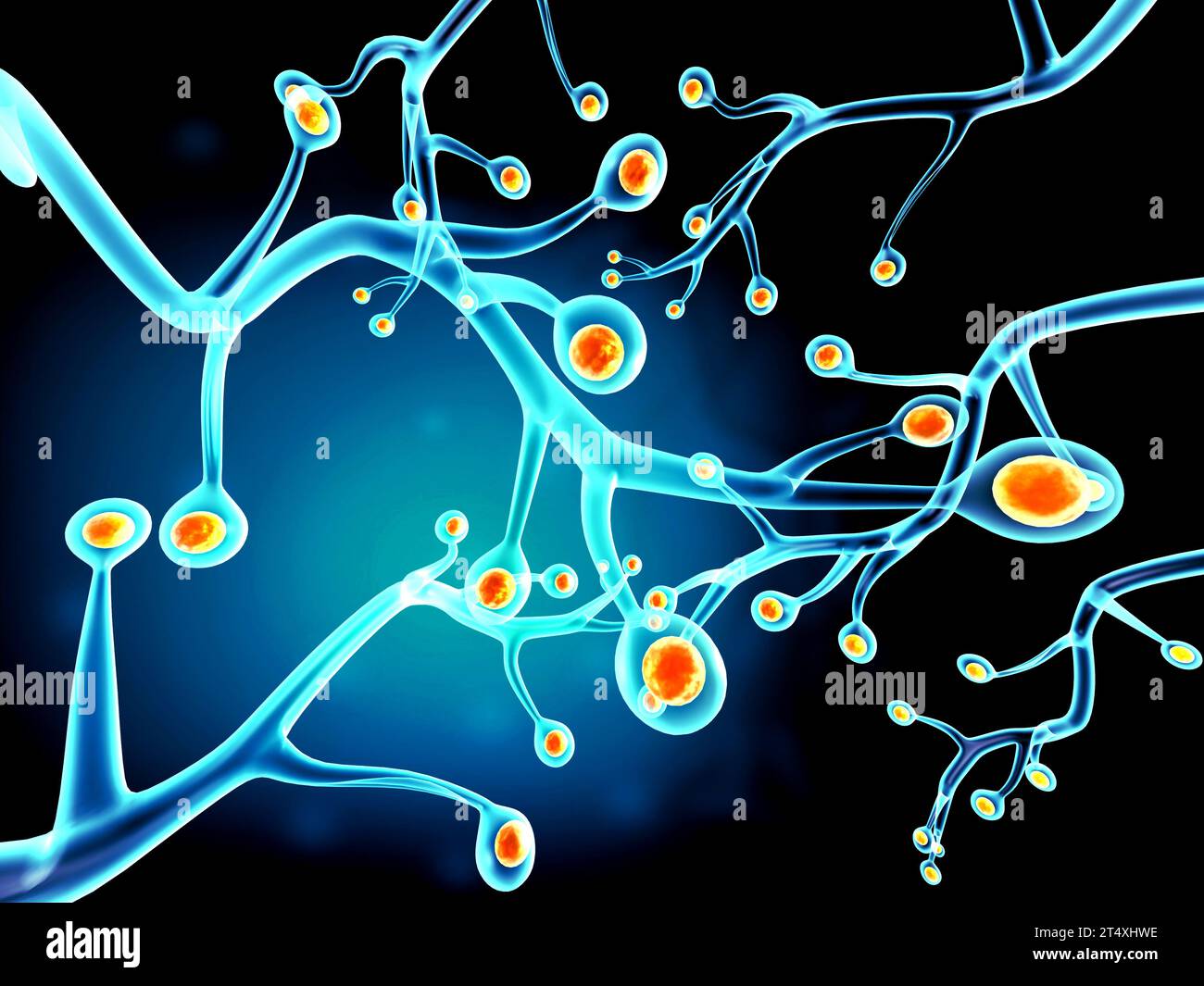Neural network in the brain. nervous system , Neurons. 3d render Stock ...