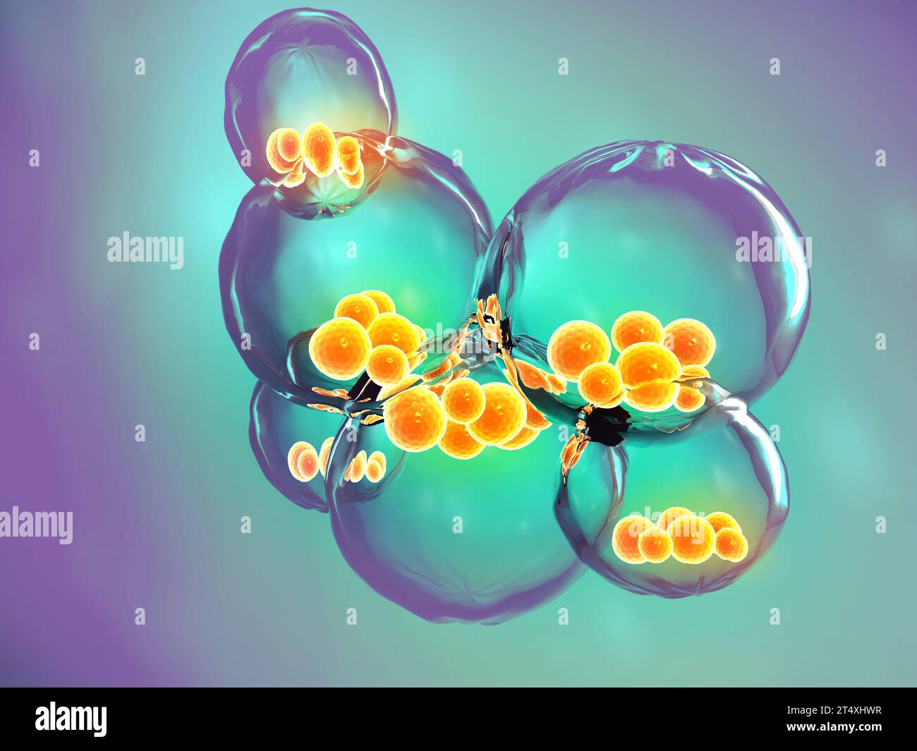 Stem cells. 3d illustration Stock Photo - Alamy