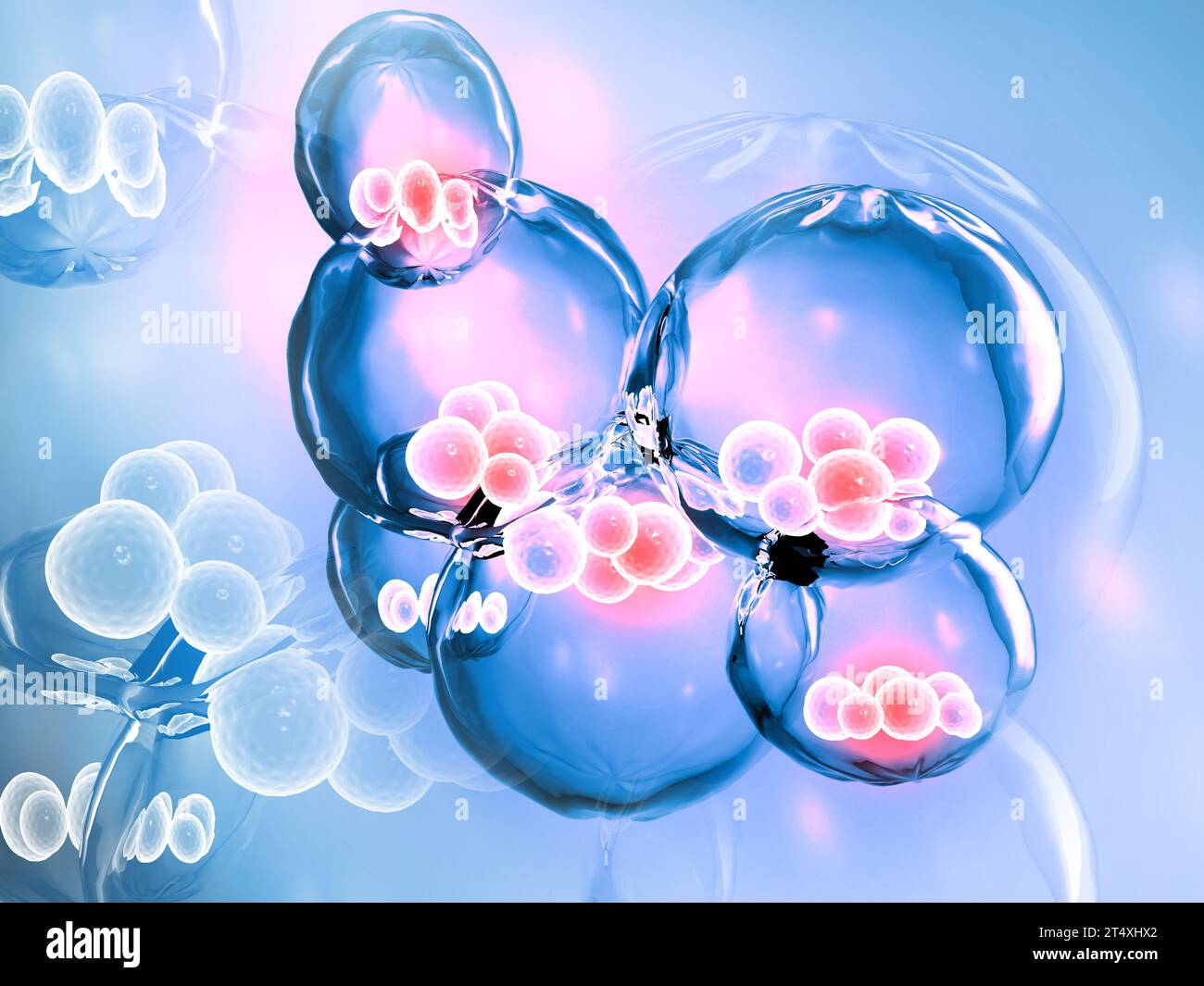 Stem cells .3d illustration Stock Photo - Alamy