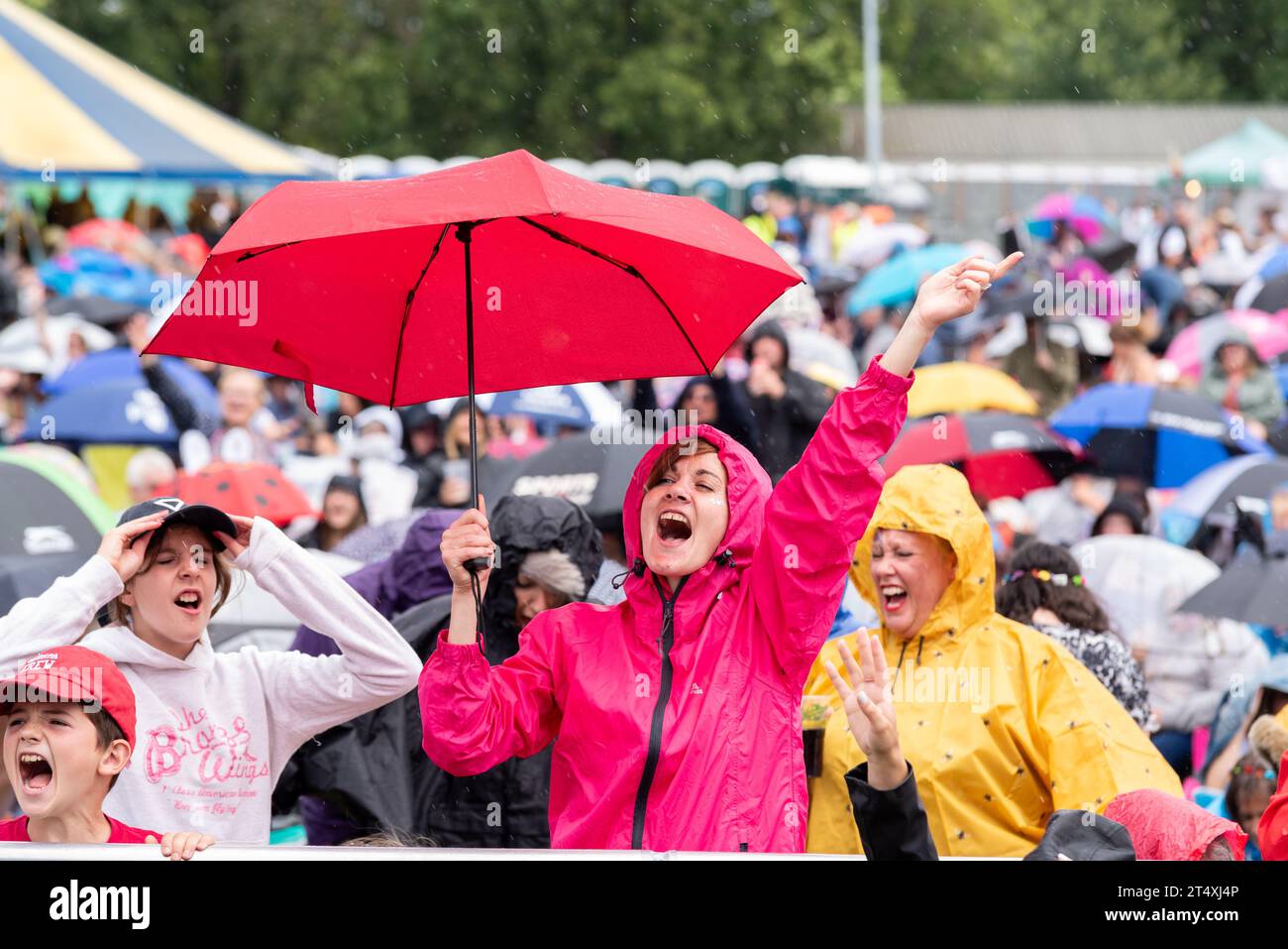 Fans singing along at a large music festival in a park in Essex during ...