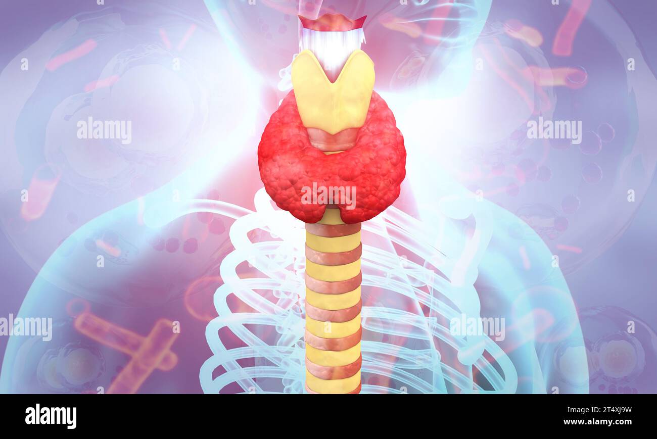 Abstract medical background with Human Body thyroid gland anatomy. 3d ...