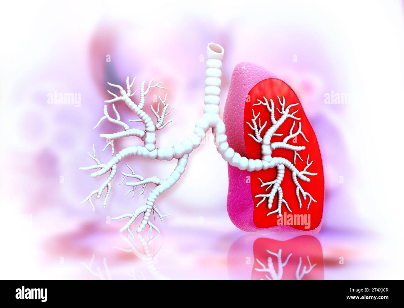 Illustration structure pulmonary alveoli hi-res stock photography and images - Alamy