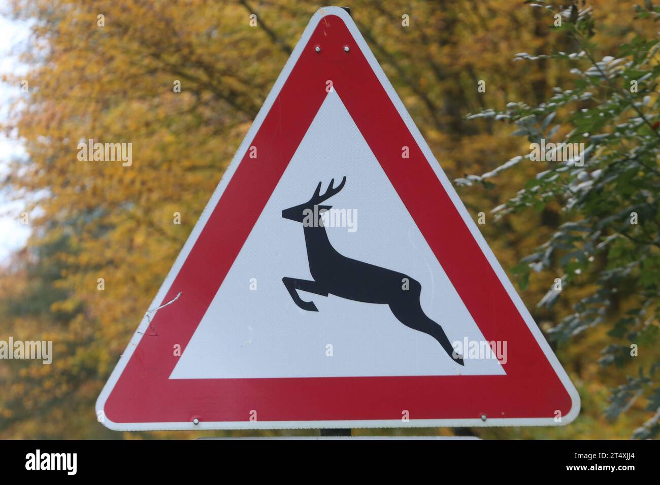 Warnschild zeichen beschilderung hi-res stock photography and images ...