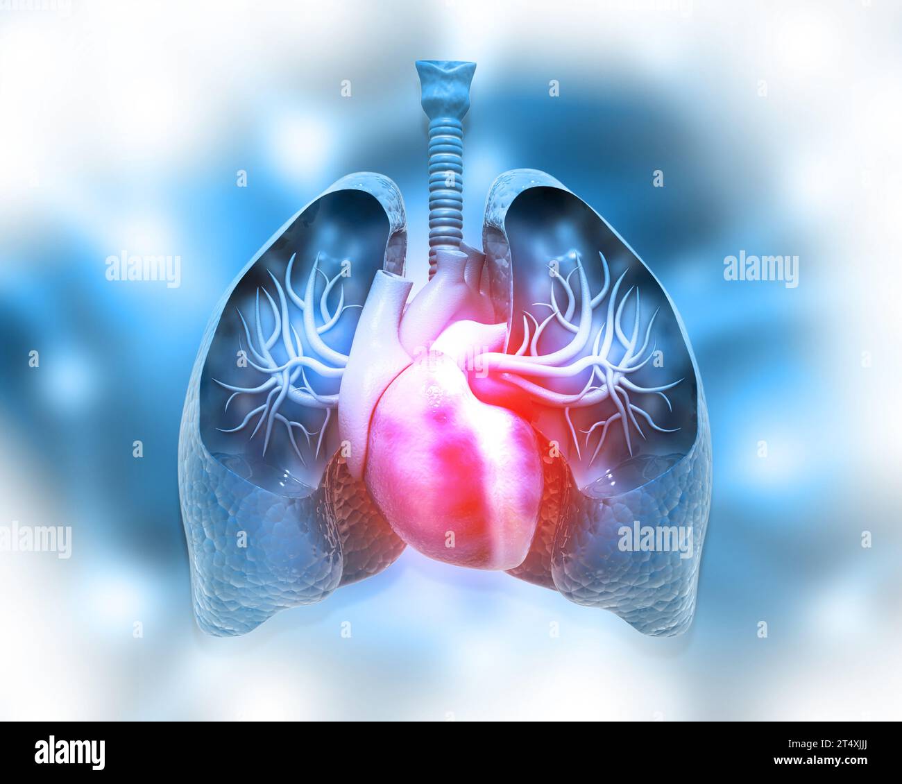 Human lungs and heart on abstract medical background. 3d illustration ...