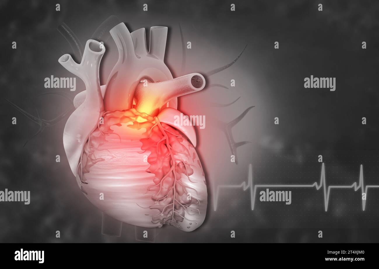 Human heart with cardiogram on medical background Stock Photo - Alamy