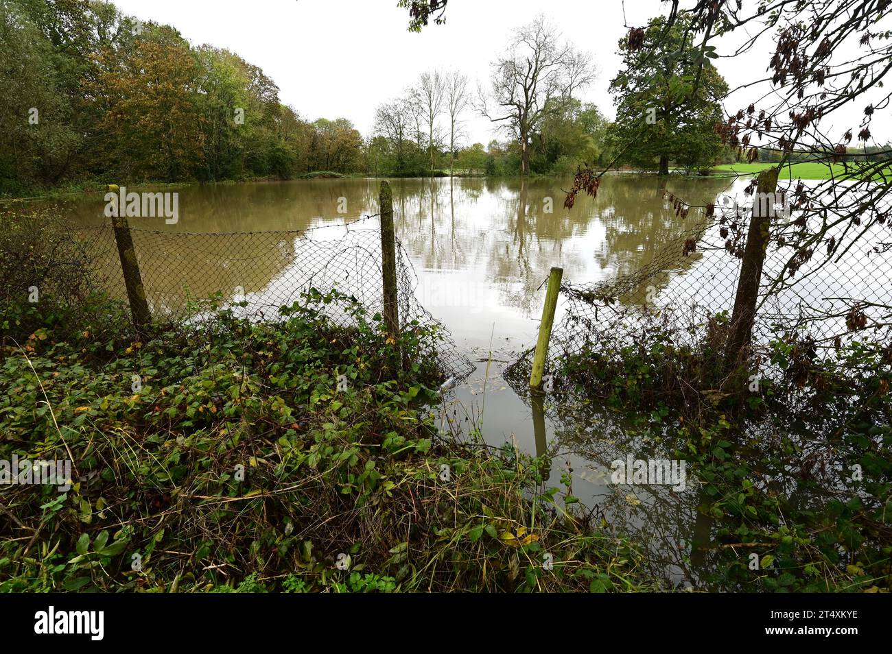 Flooded public footpath and farmland in Horley, Surrey on November 2nd ...