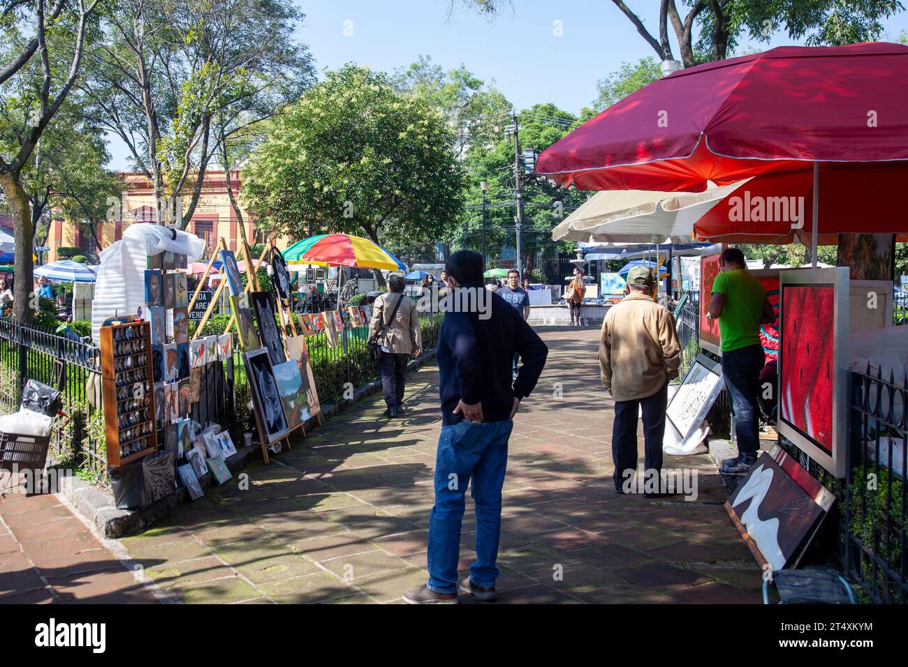 Mercado del carmen cdmx hi-res stock photography and images - Alamy