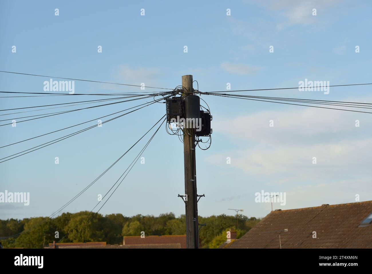 A view of BT cables and switch boxes on a telegraph pole in Billericay ...