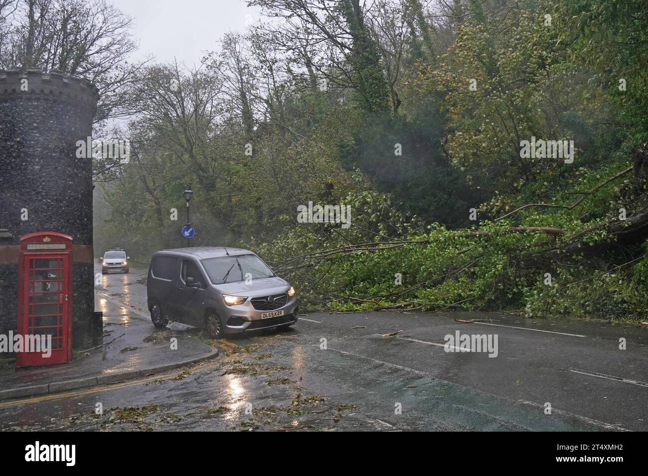 Cars passing a fallen tree in Dover, Kent, as Storm Ciaran brings high ...