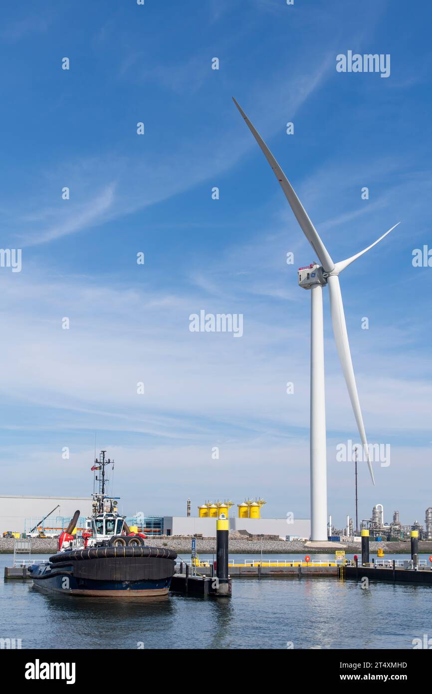 Rotterdam, the Netherlands-September 16, 2023; Vertical view of tugboat ...
