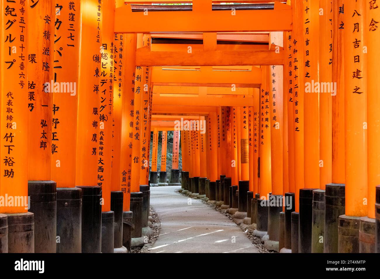 Kyoto, Japan–April 13, 2023: Torri path through vermilion colored Torri ...