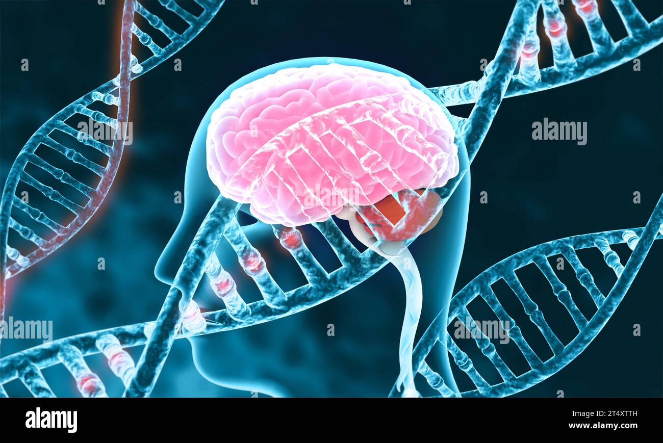 Human brain with dna. 3d illustration Stock Photo - Alamy