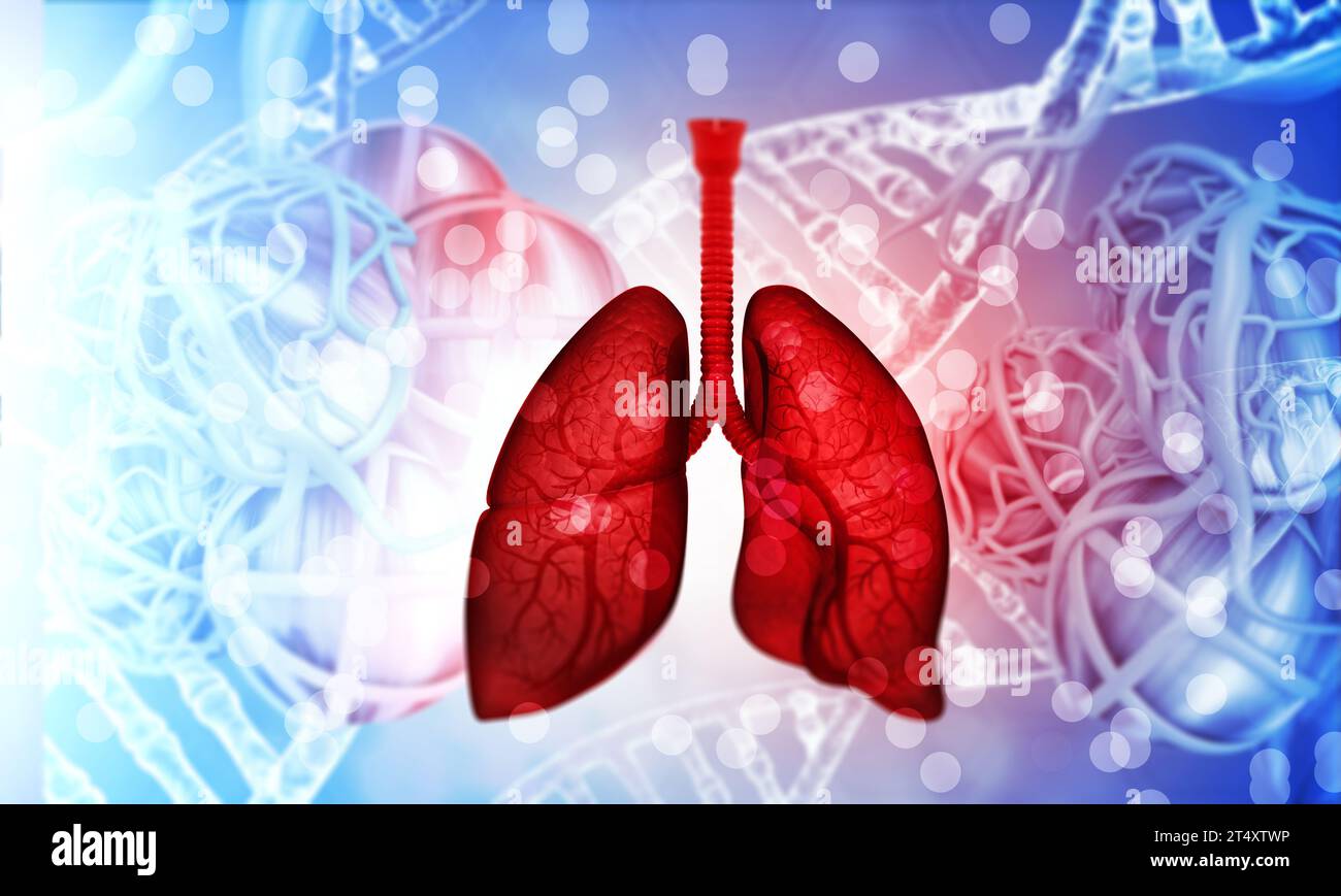 Human lungs with medical background. 3d illustration Stock Photo - Alamy