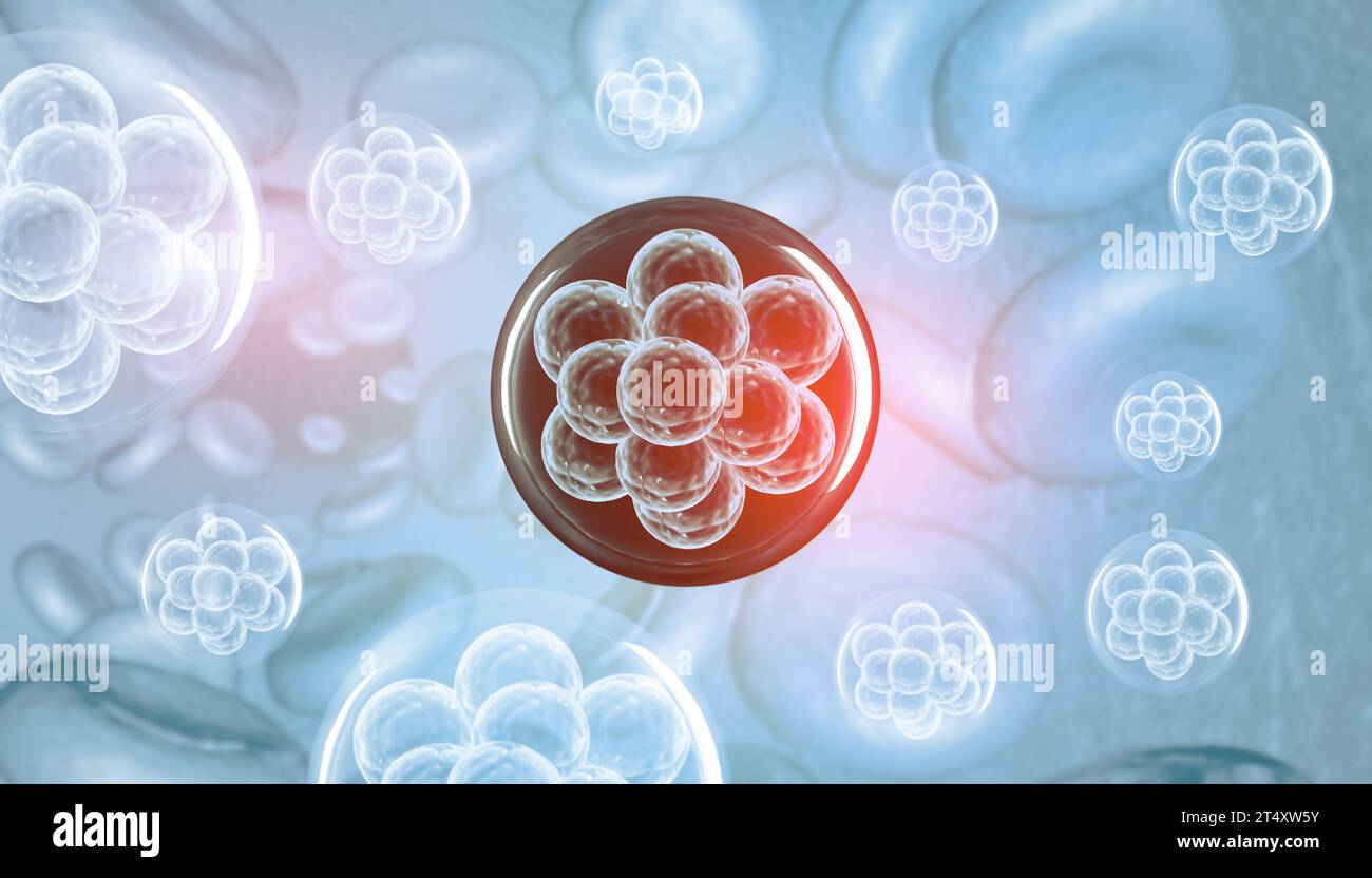 Human cells division. 3d illustration Stock Photo - Alamy