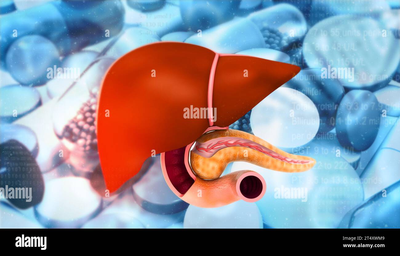 Human liver with pills on medicine background. 3d illustration Stock ...