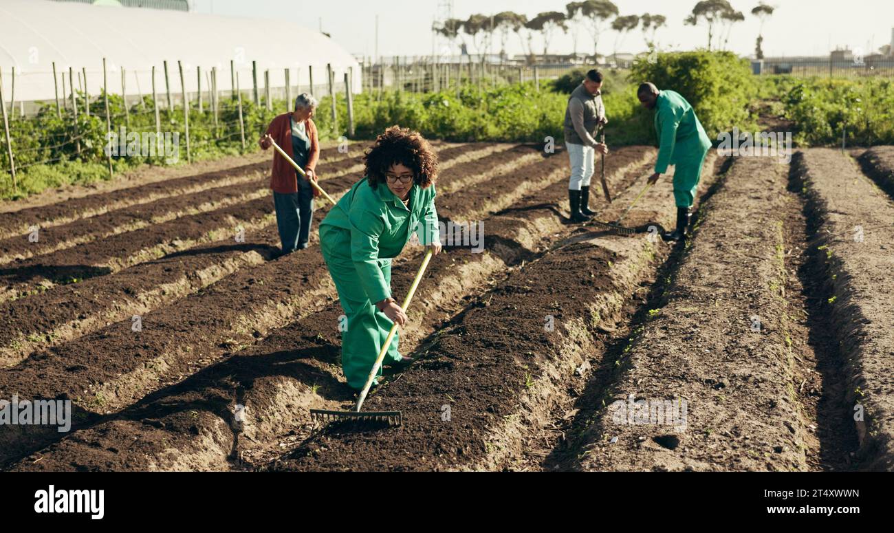 Woman, land or farming to rake field, healthy food and sustainability ...