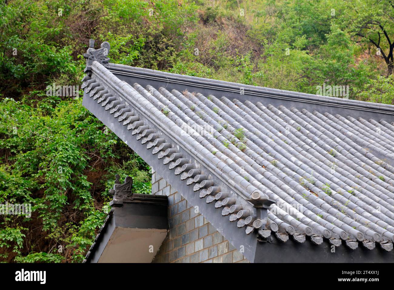 Green roof ridges hi-res stock photography and images - Alamy