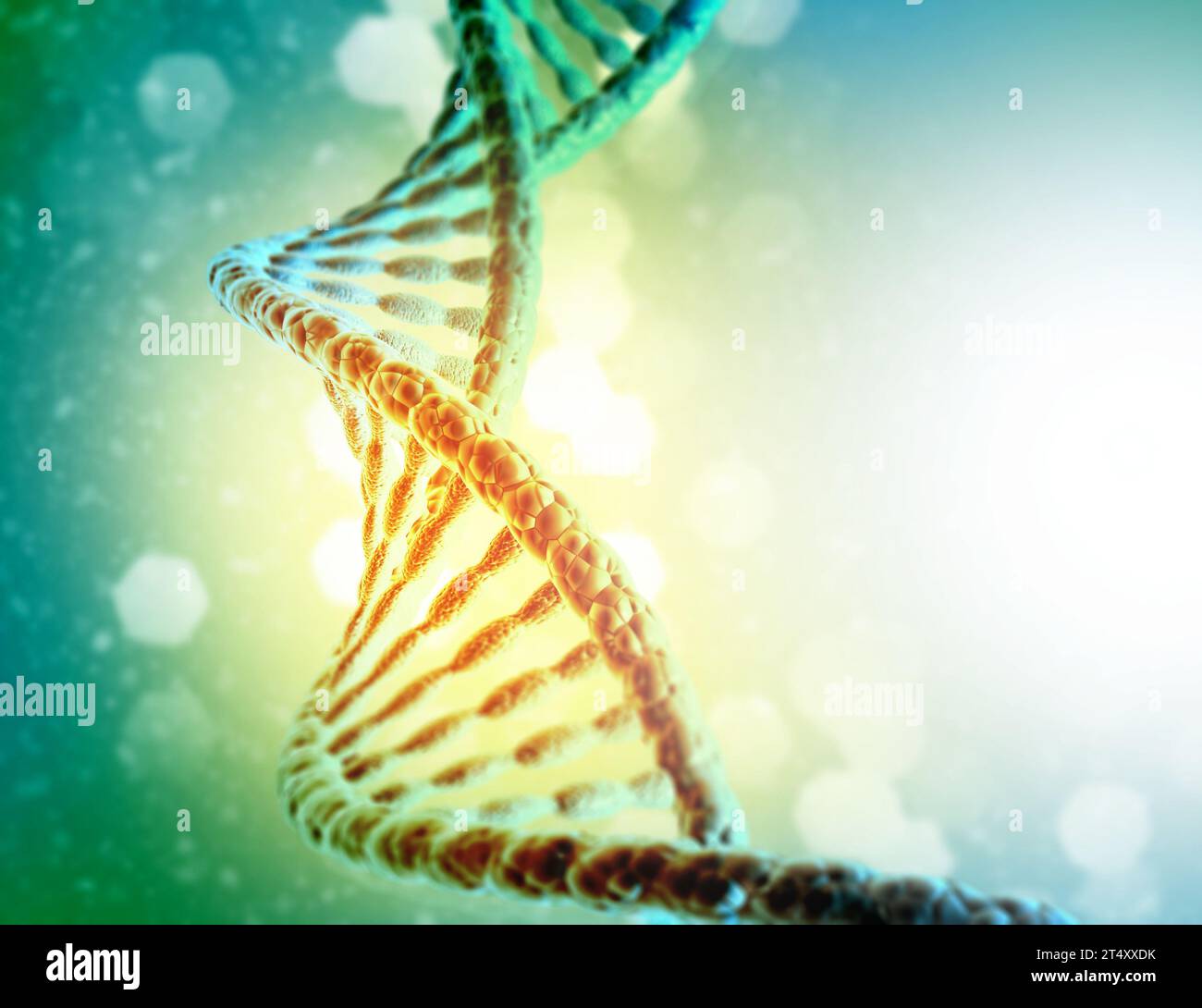 DNA strands on science background. 3d illusation Stock Photo - Alamy