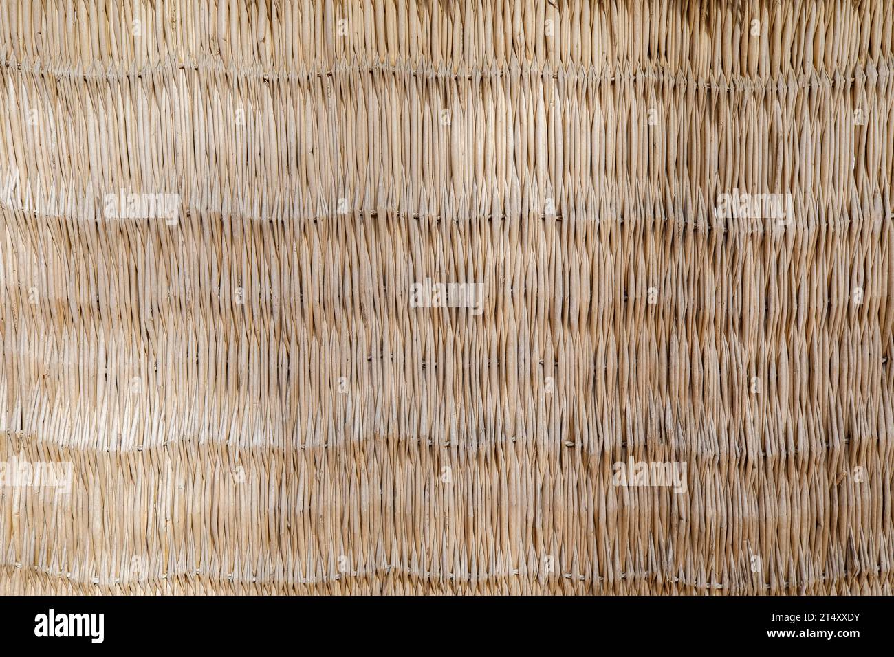 Texture of a reed fence. The background Stock Photo - Alamy