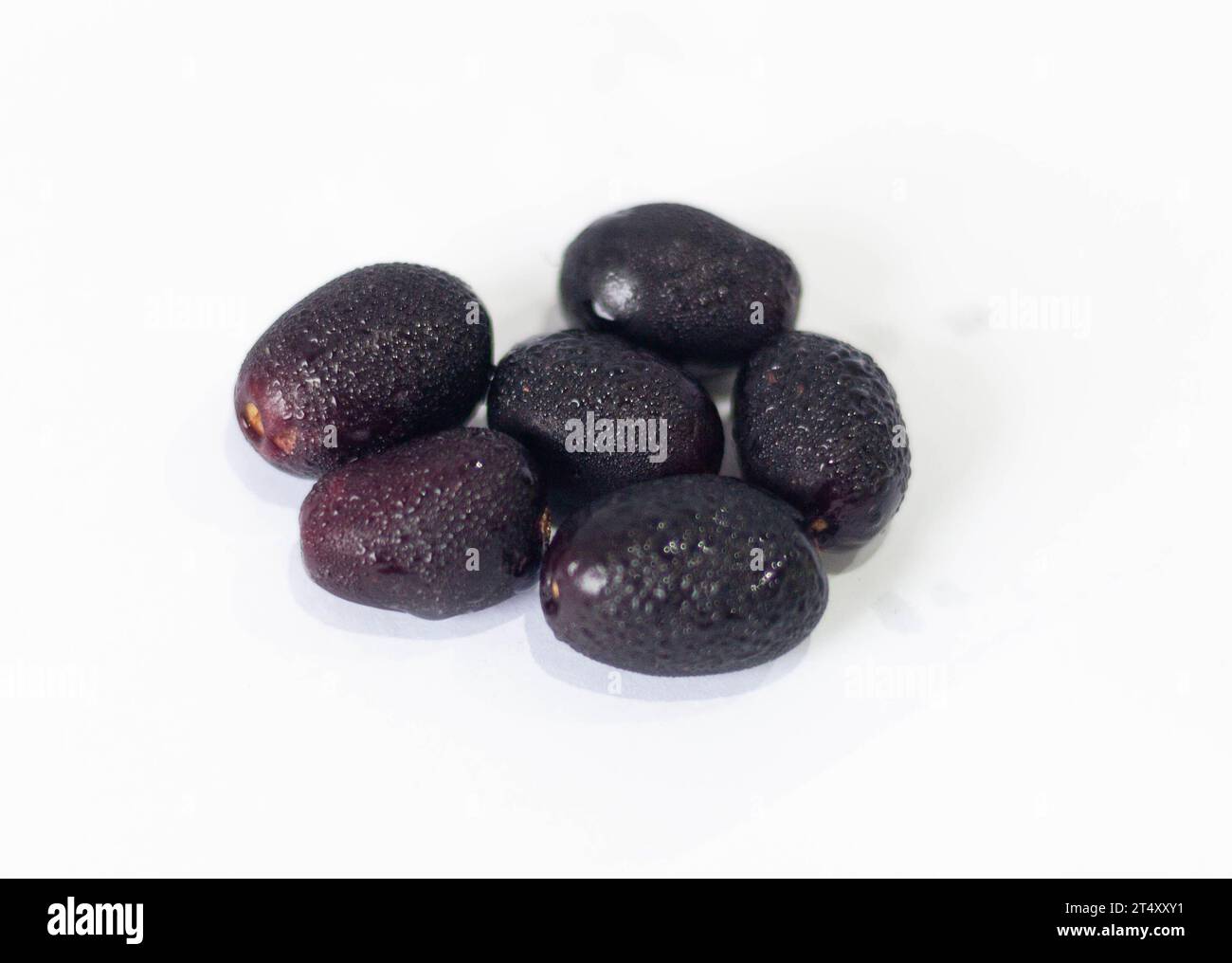 Plum, Jamun, Prunus. Flesh is firm and juicy. The fruit 's peel is ...