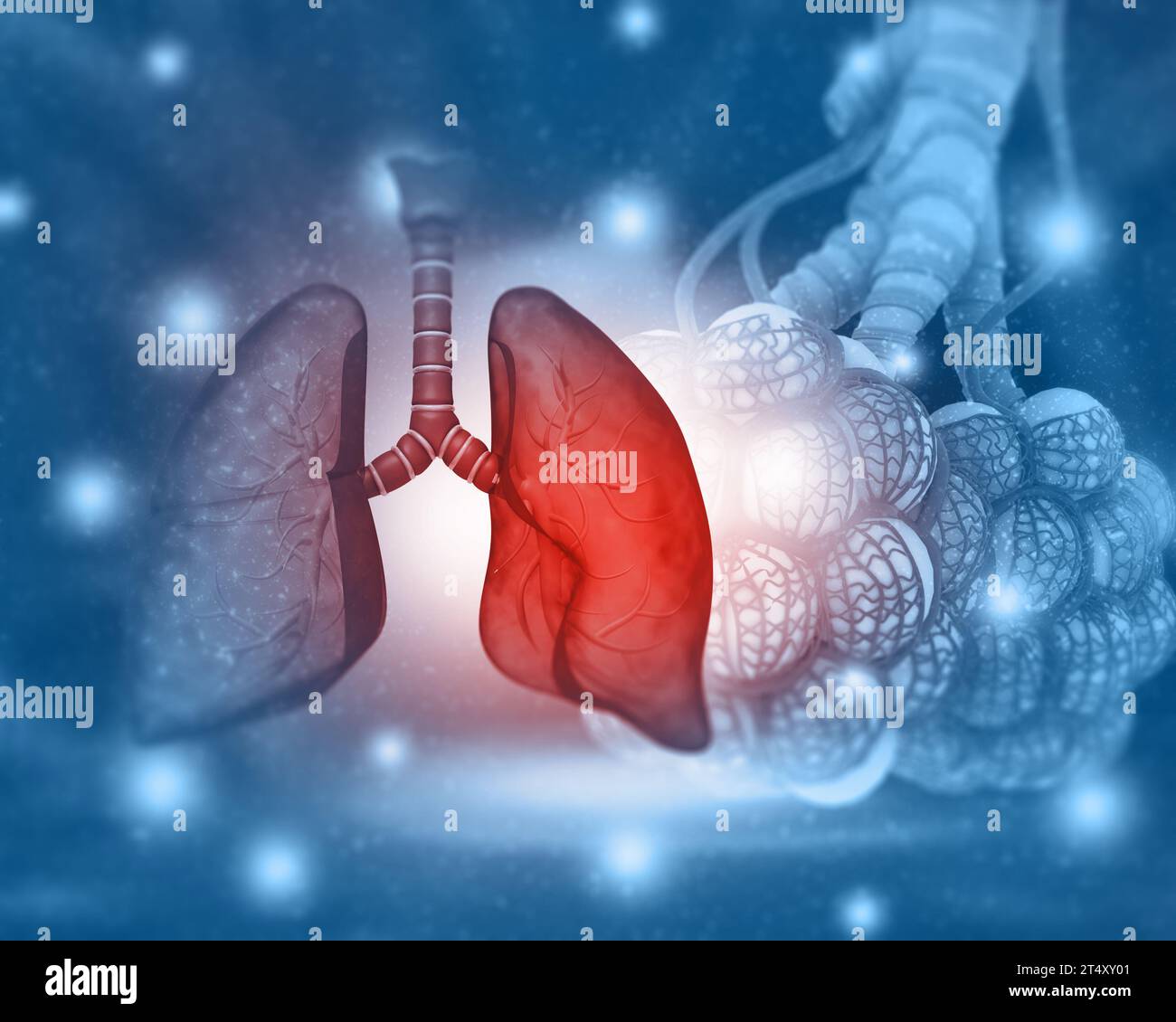 Human lungs anatomy on medical science background. 3d illustration ...