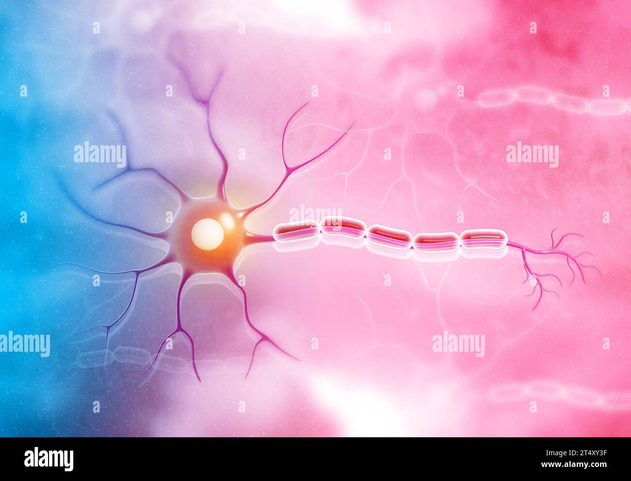 Neuron cell on medical background. 3d illustration Stock Photo - Alamy