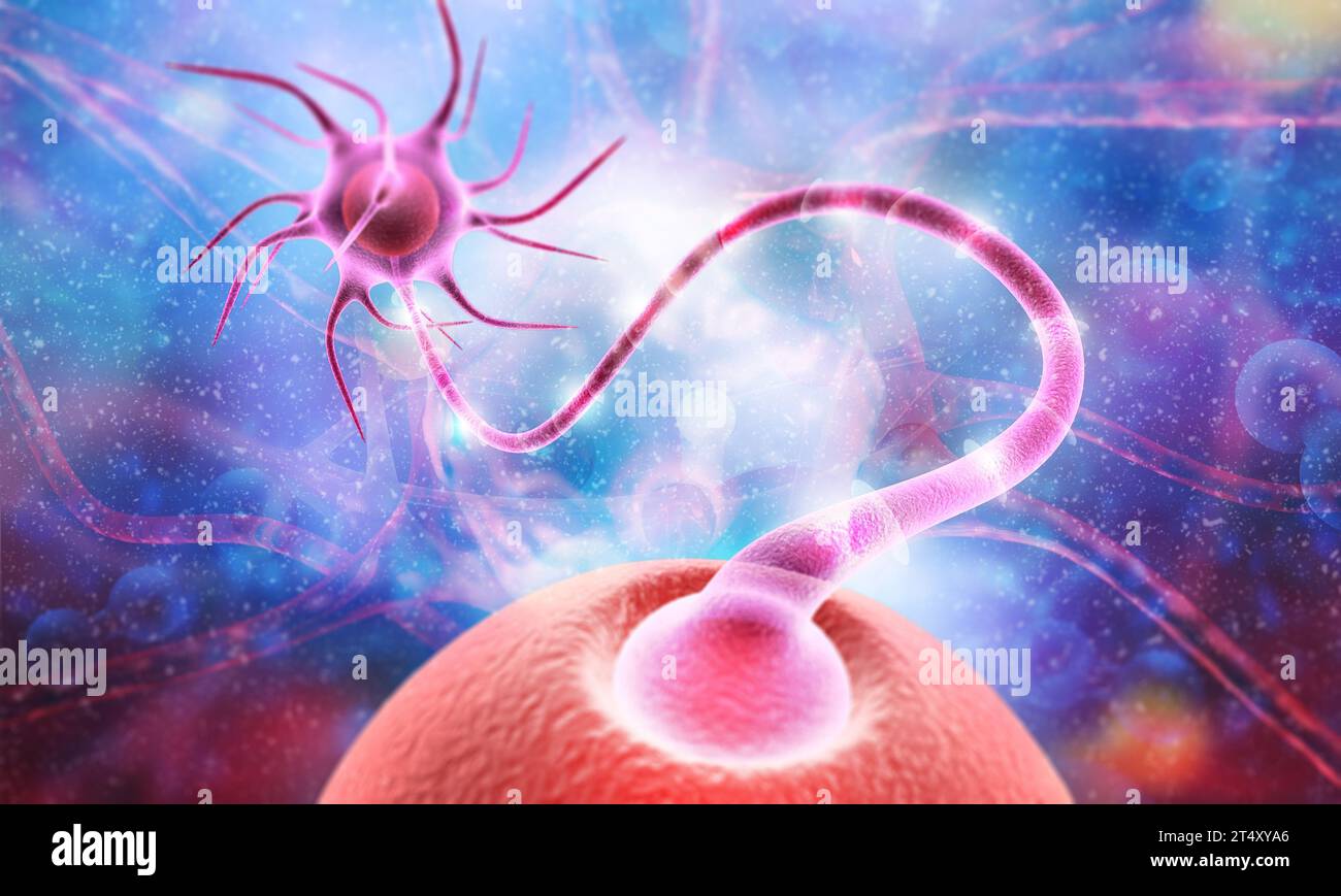 Neuron cells sending electrical chemical signals. 3d illustration Stock ...