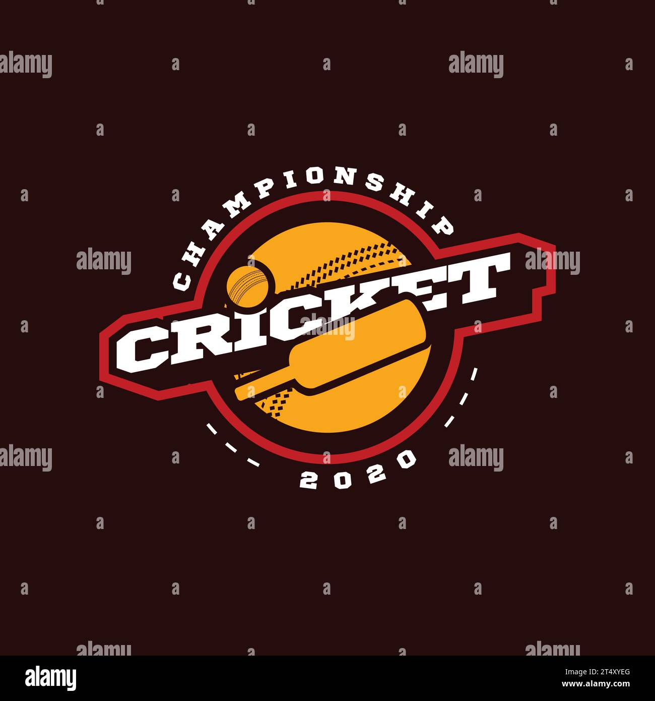 School cricket win hi-res stock photography and images - Alamy