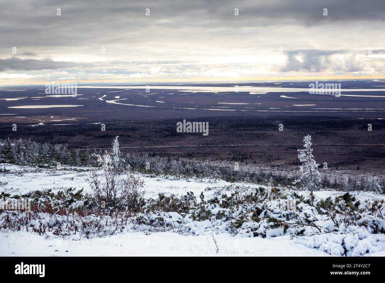 Tundra, first snowfall, Chersky, Yakutia, Russia Stock Photo - Alamy