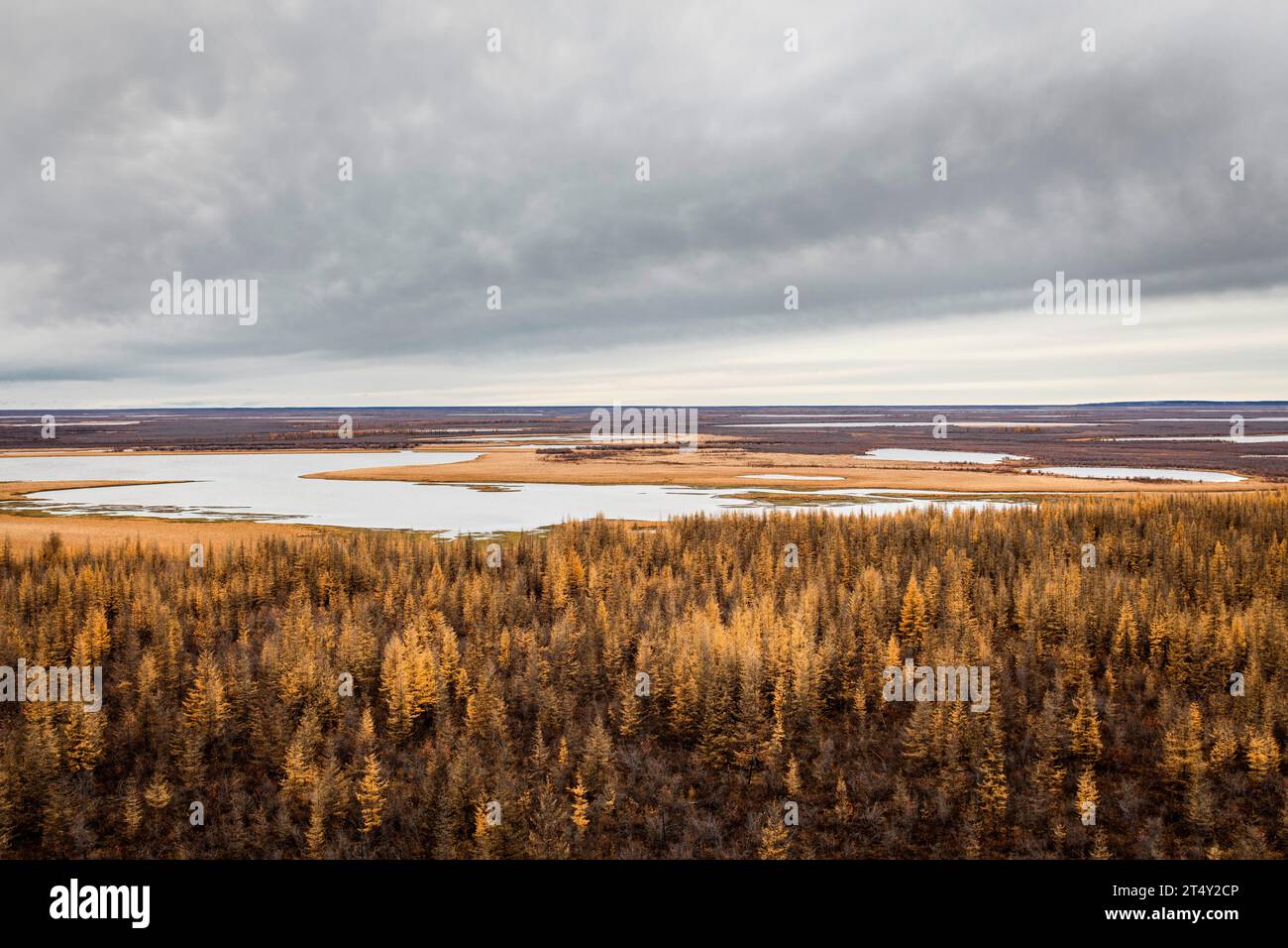 Tundra, Chersky, Yakutia, Russia Stock Photo - Alamy