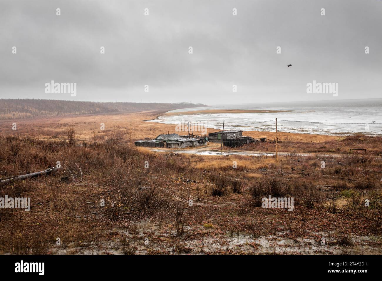 Coast, White Sea, Chersky, Yakutia, Russia Stock Photo - Alamy