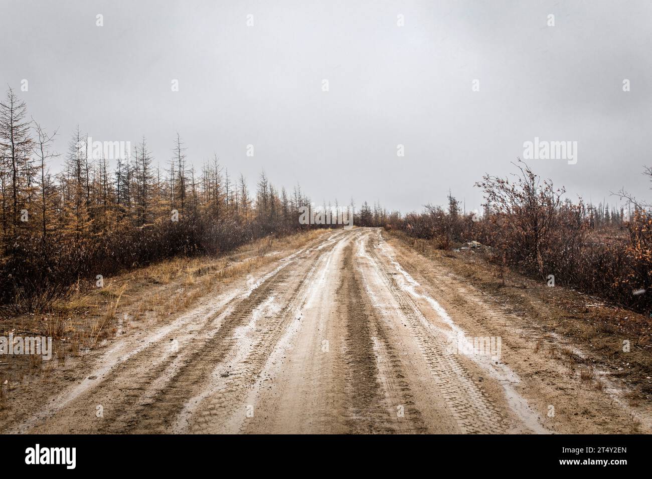 Road, Tundra, Chersky, Yakutia, Russia Stock Photo - Alamy